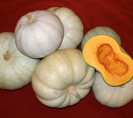 Kroshka, organic seeds - Runåbergs fröer