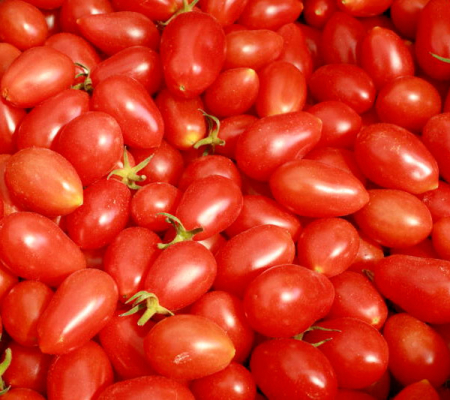 Red Pearl, Pearl Tomato, organic seeds - Runåbergs fröer