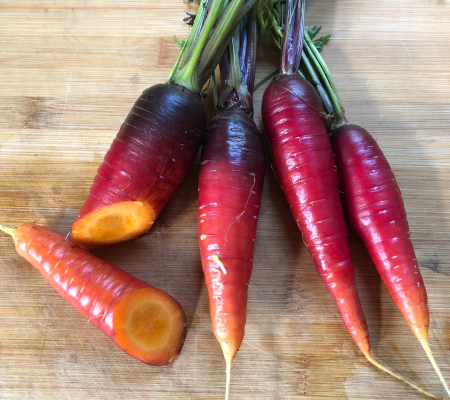 Longue Rouge Sang, organic - Runåbergs fröer